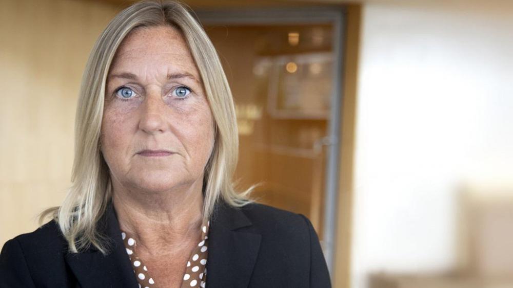 Gunilla Carlsson (S): ”Ser inte att det skulle hamna i konflikt ...